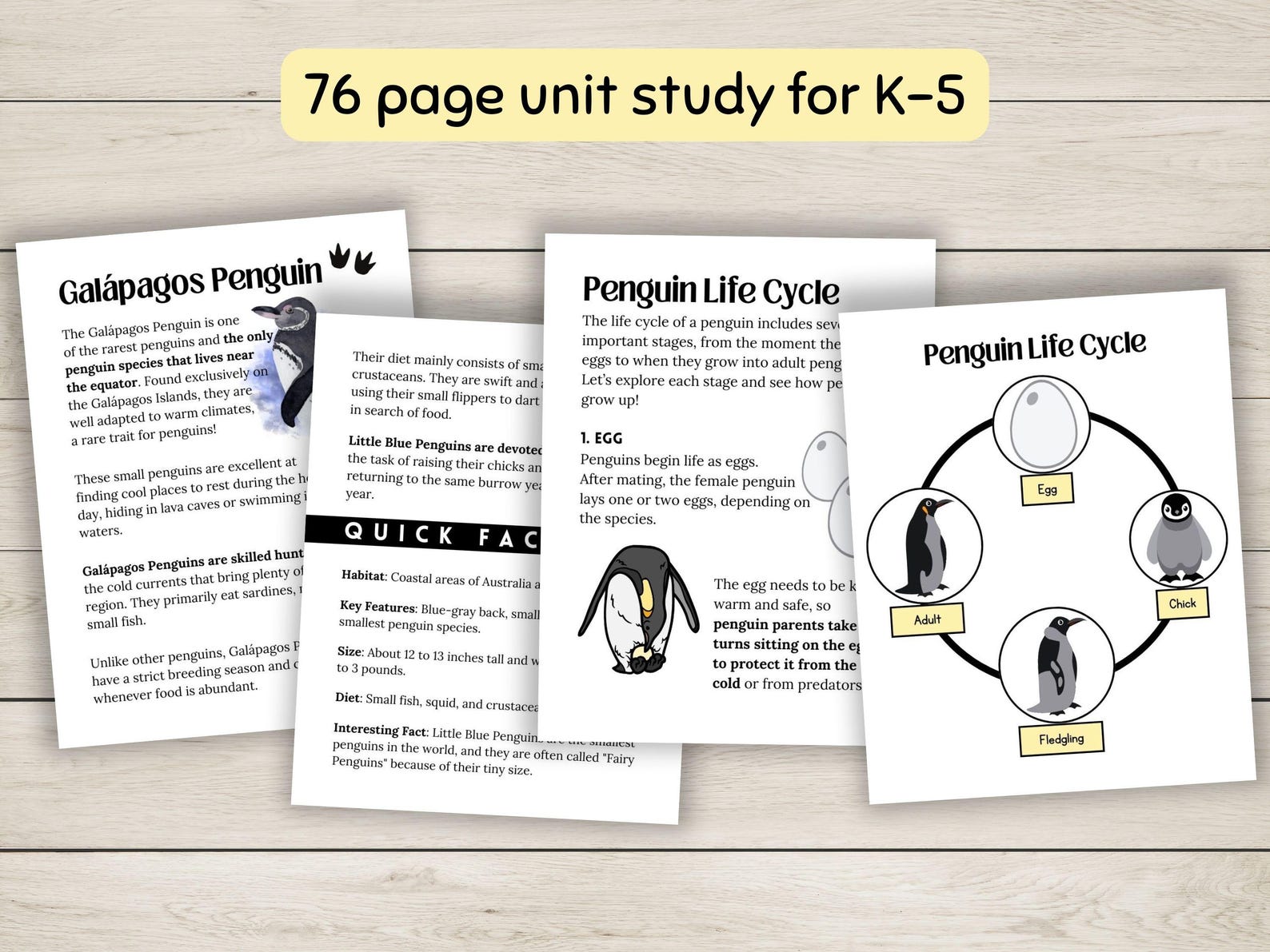 Penguin Unit Study With Comprehension Passages and Worksheets About Penguin Species Adaptations ...