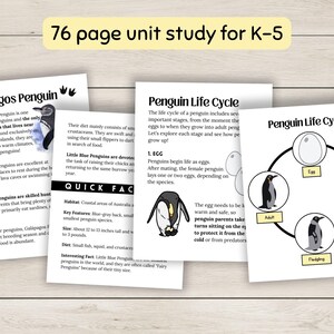 Penguin Unit Study With Comprehension Passages and Worksheets About ...