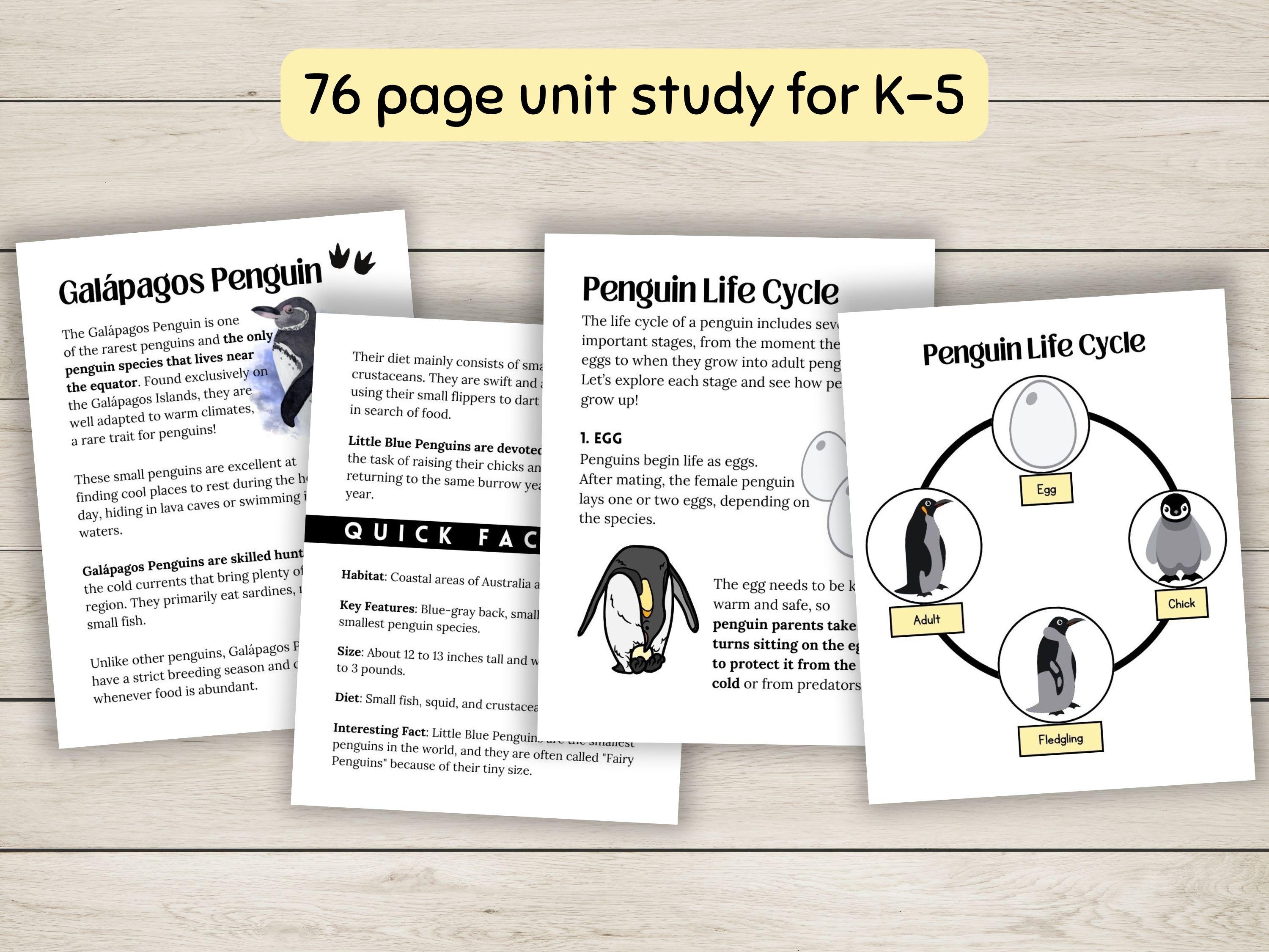 Penguin Unit Study With Comprehension Passages and Worksheets About ...