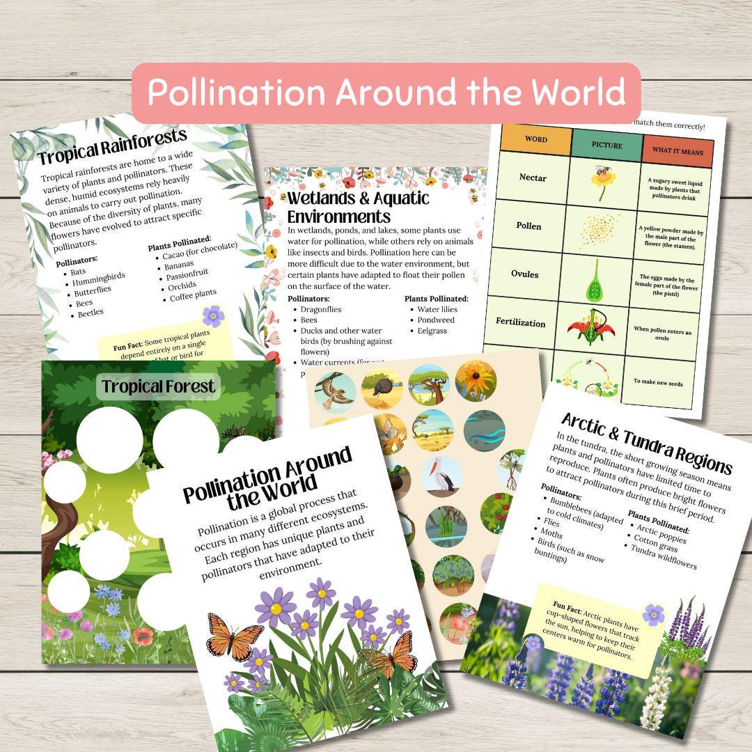 Pollination Unit Study Worksheets, Activities, 100+ Page Elementary ...
