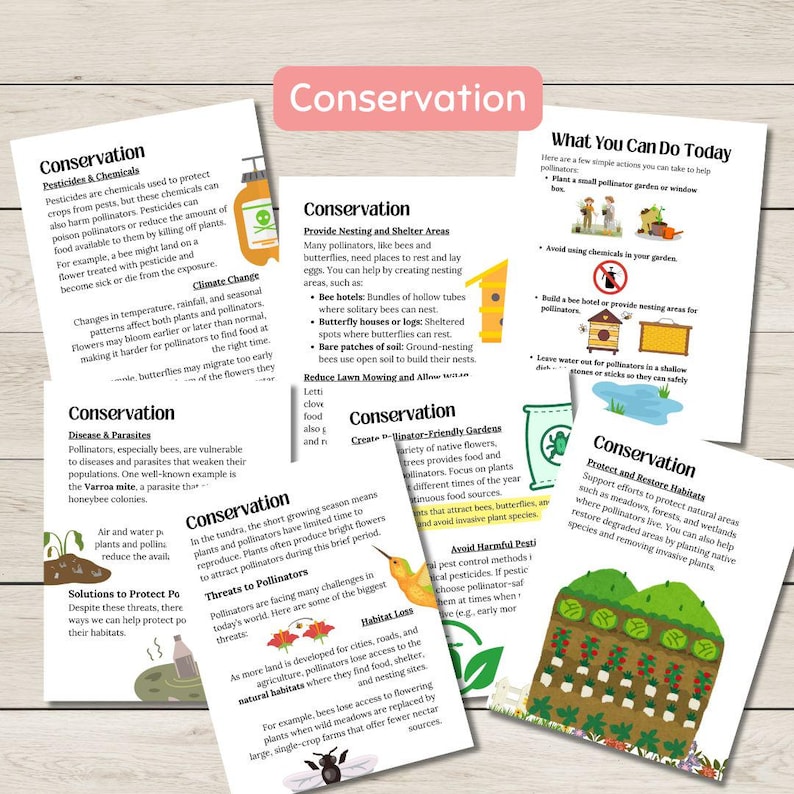 Pollination Unit Study Worksheets, Activities, 100+ Page Elementary ...