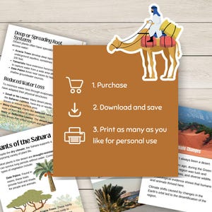 Sahara Desert Unit Study- Explore This Desert Biome's Geography ...