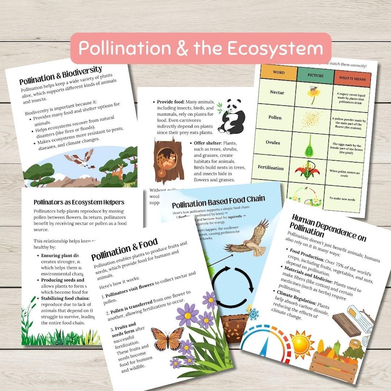 Pollination Unit Study Worksheets, Activities, 100+ Page Elementary ...