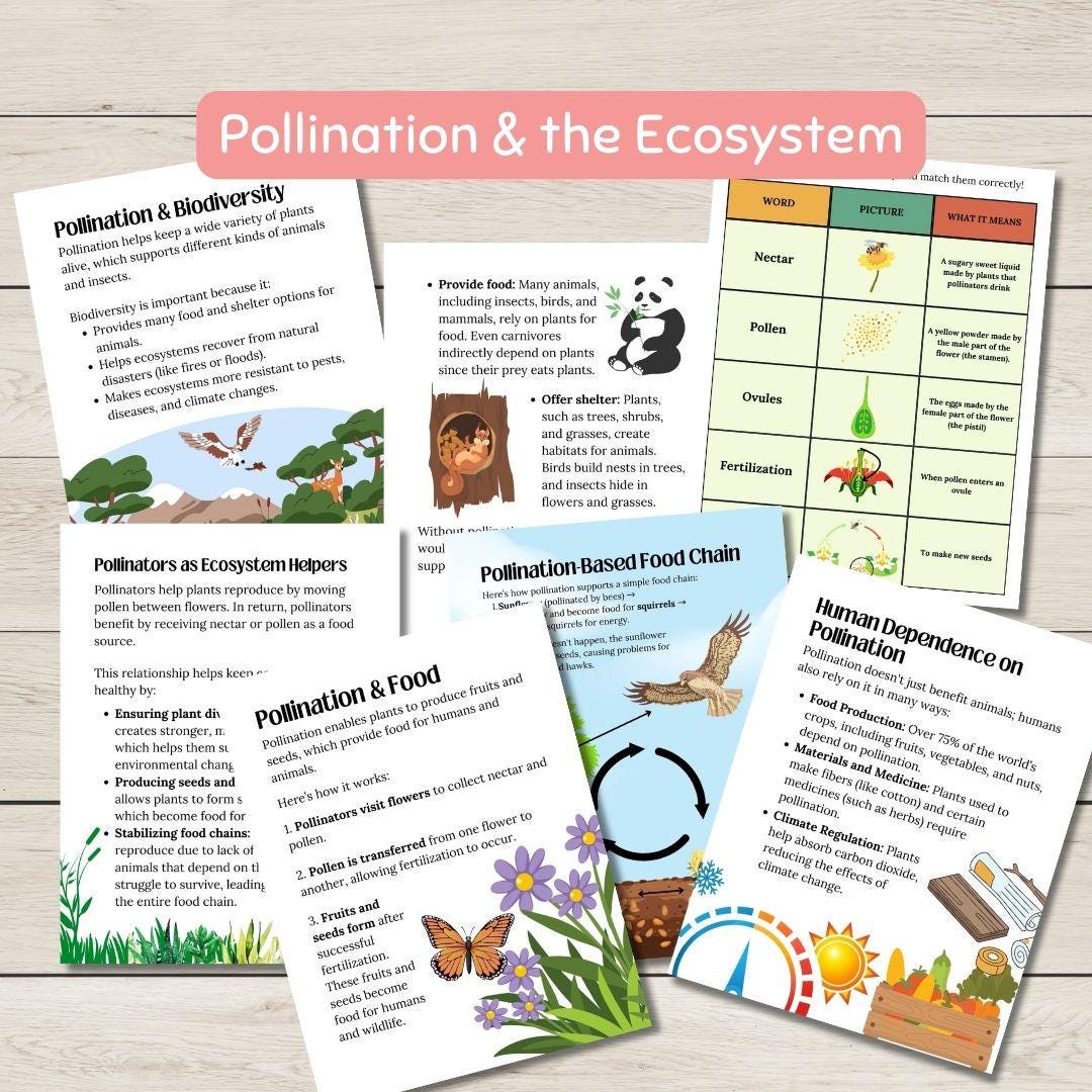 Pollination Unit Study Worksheets, Activities, 100+ Page Elementary ...