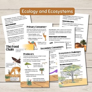 Sahara Desert Unit Study- Explore This Desert Biome's Geography ...