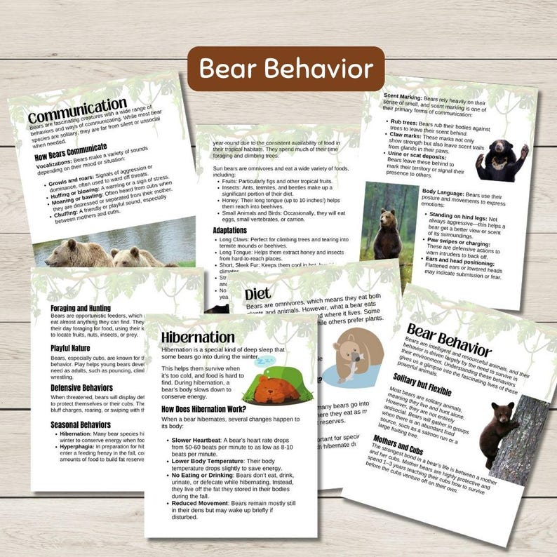 Bears Unit Study, Life Cycle, Anatomy, Types of Bears, Behavior ...