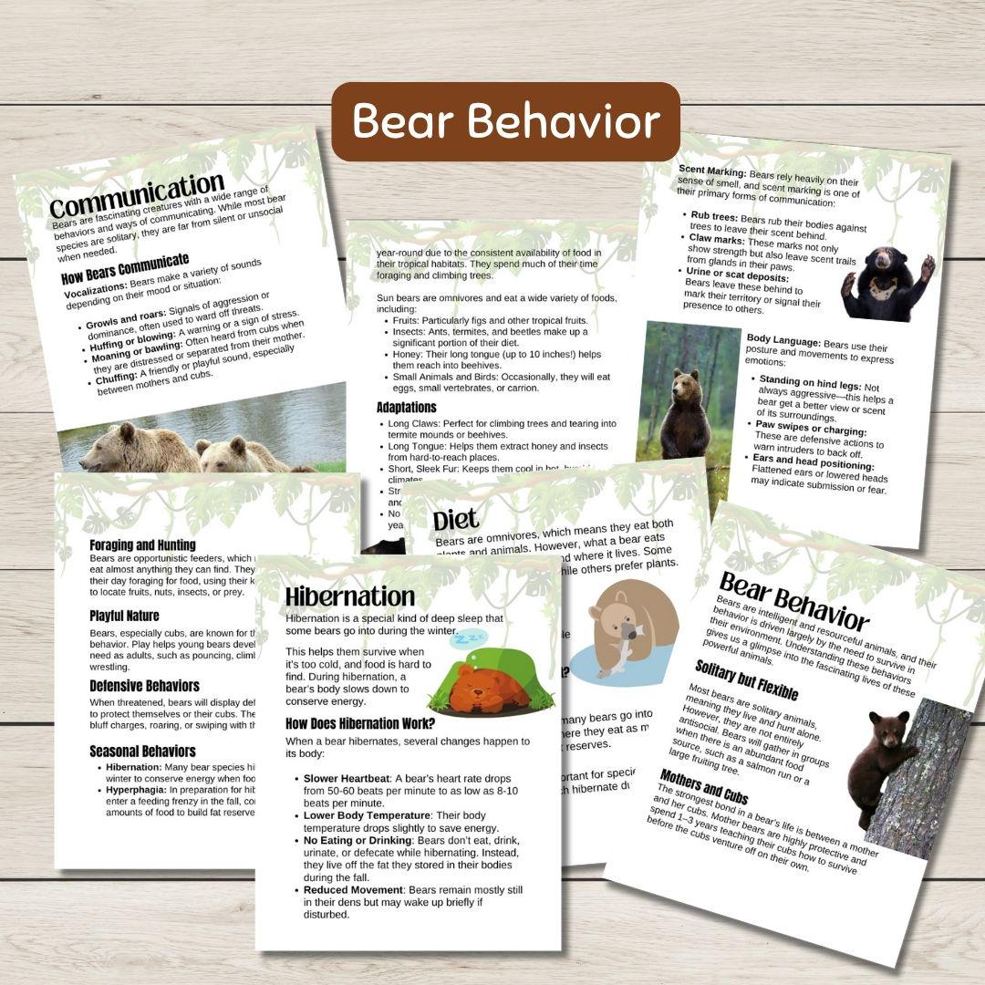 Bears Unit Study, Life Cycle, Anatomy, Types of Bears, Behavior ...