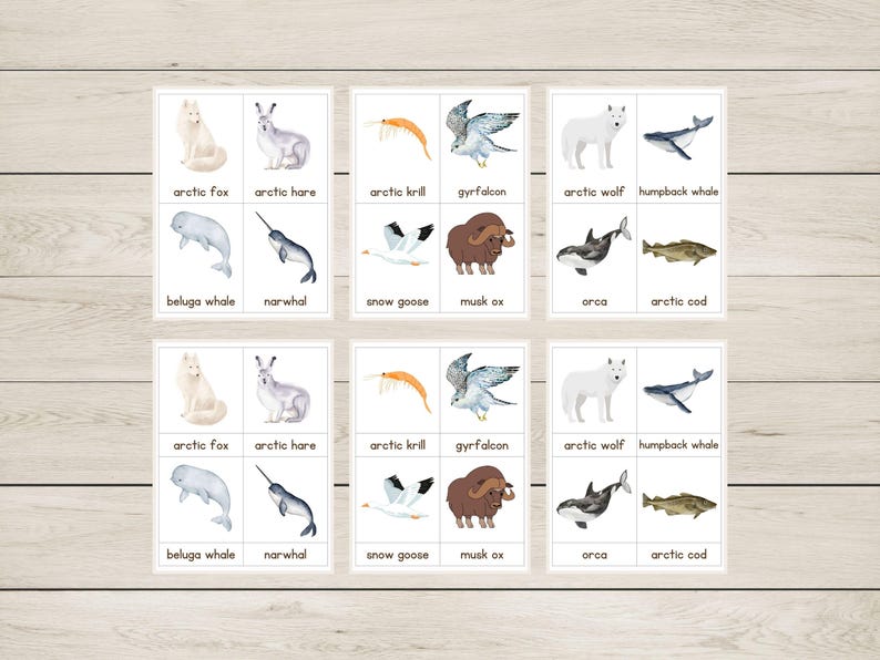 Arctic Animals Flashcards Printable Montessori 3-part Cards ...