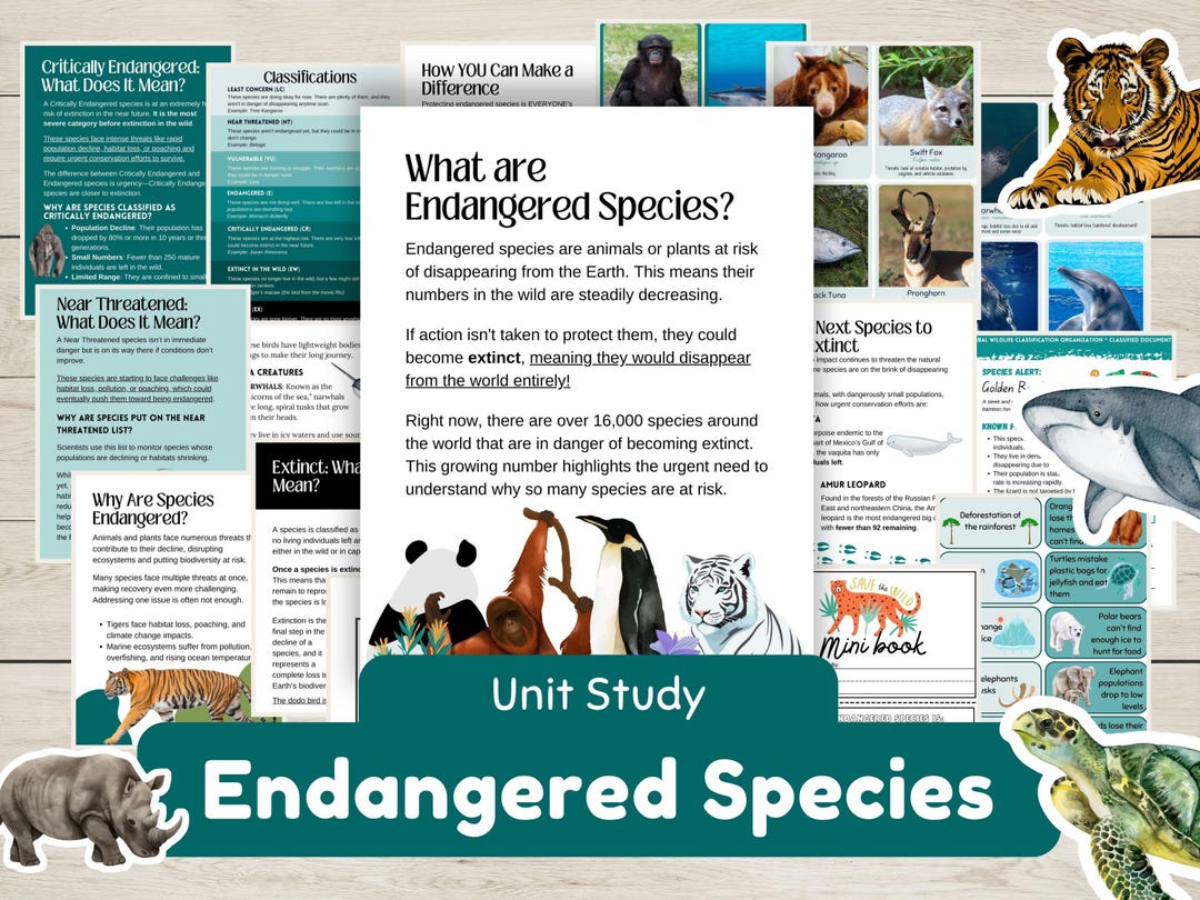 Endangered Species Unit Study Comprehension Passages, Worksheets ...