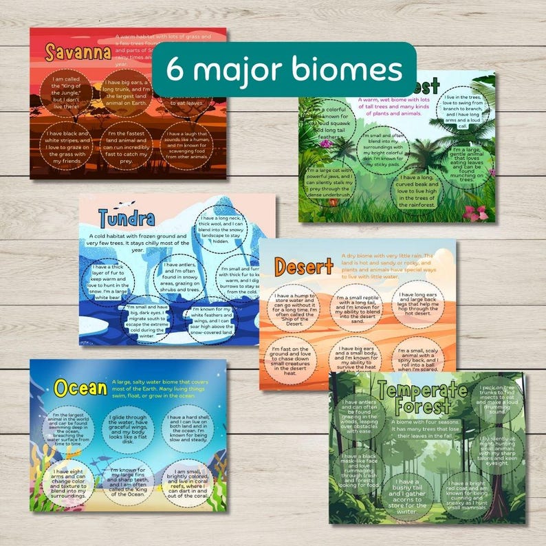 Animals Habitat Sorting Mats, Habitat Matching Worksheets, 6 Major ...