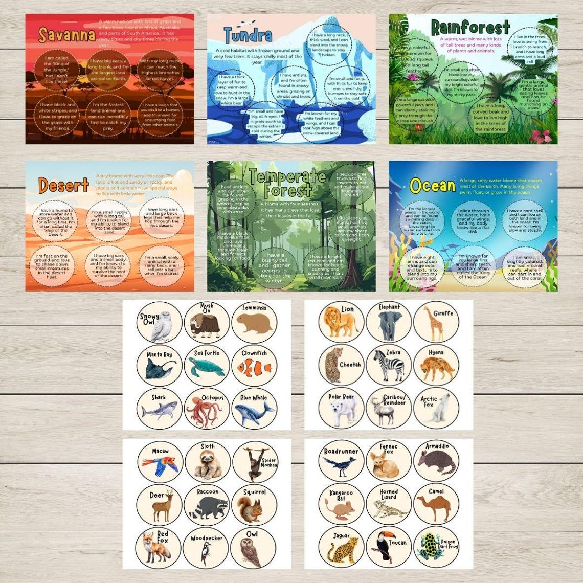 Animals Habitat Sorting Mats, Habitat Matching Worksheets, 6 Major ...