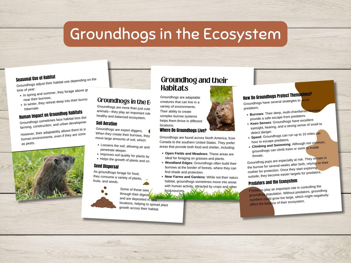Groundhog Day Unit Study With Comprehension Passages and Worksheets and ...