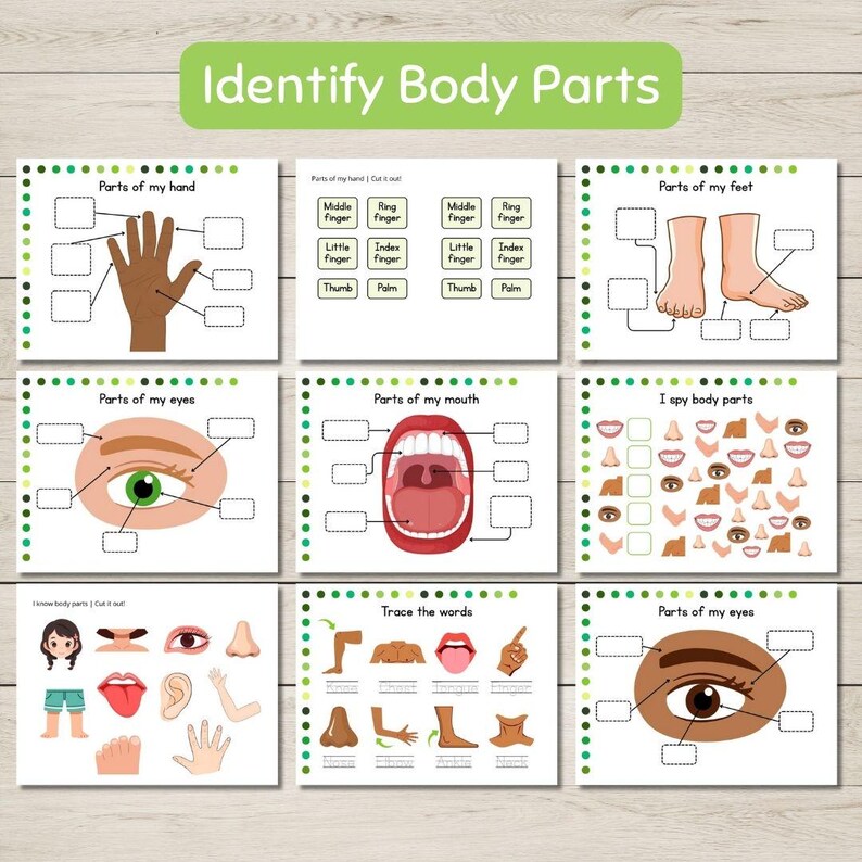 Human Anatomy Busy Book for Toddlers My Body Learning Binder for ...
