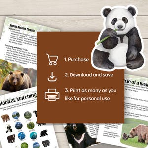 Bears Unit Study, Life Cycle, Anatomy, Types of Bears, Behavior ...