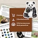 Bears Unit Study, Life Cycle, Anatomy, Types of Bears, Behavior ...