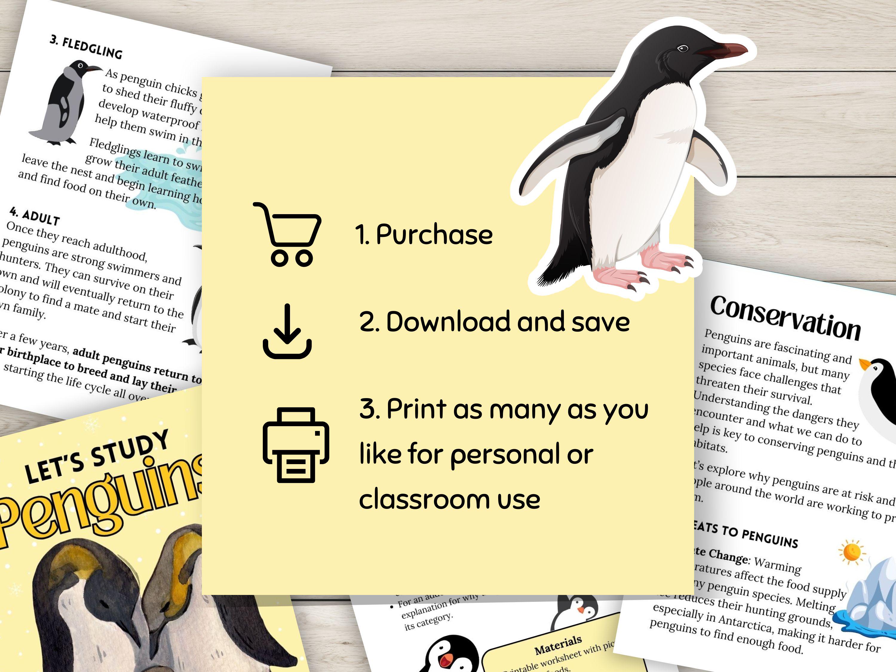 Penguin Unit Study With Comprehension Passages and Worksheets About ...
