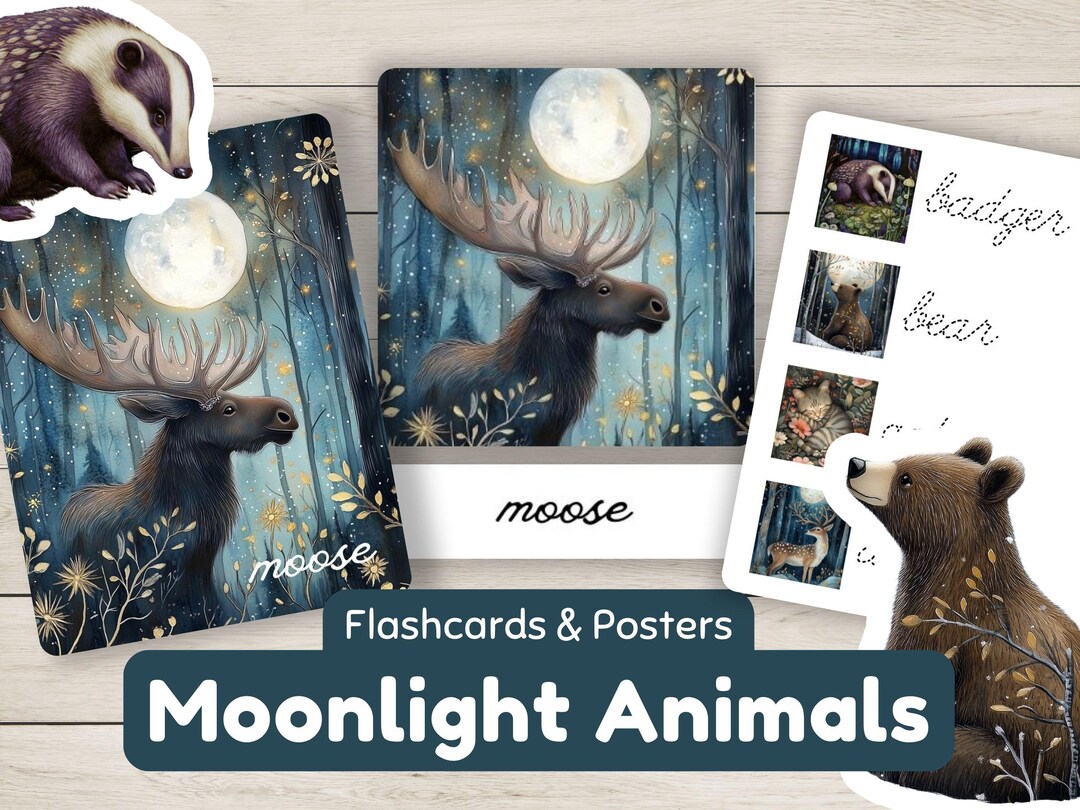 Woodland Animals Flashcards, Posters & Cursive Tracing Pages Montessori ...