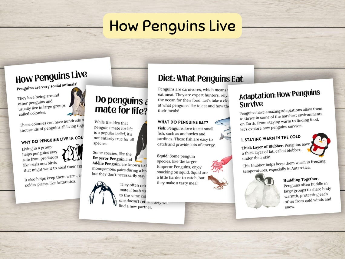 Penguin Unit Study With Comprehension Passages and Worksheets About Penguin Species Adaptations ...