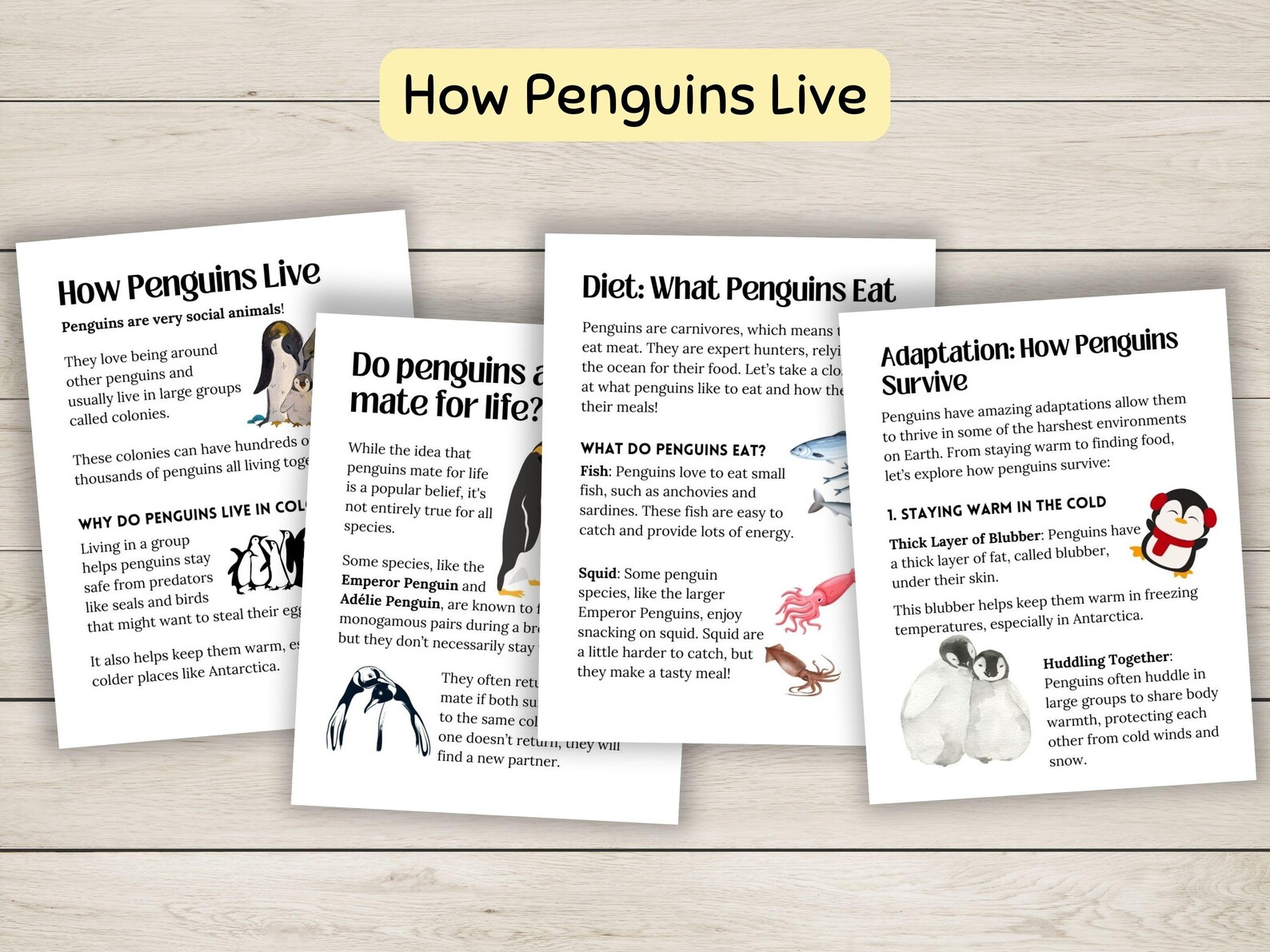 Penguin Unit Study With Comprehension Passages and Worksheets About ...