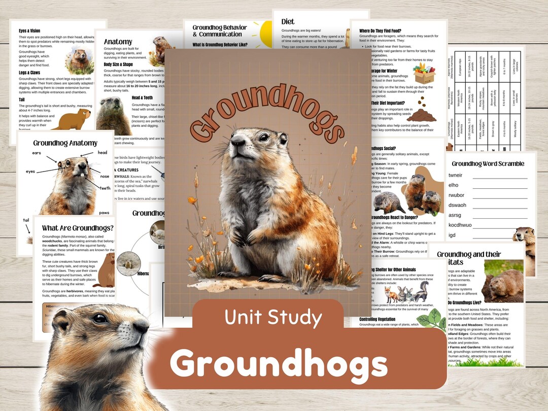 Groundhog Day Unit Study With Comprehension Passages and Worksheets and ...