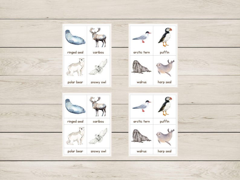 Arctic Animals Flashcards Printable Montessori 3-part Cards ...