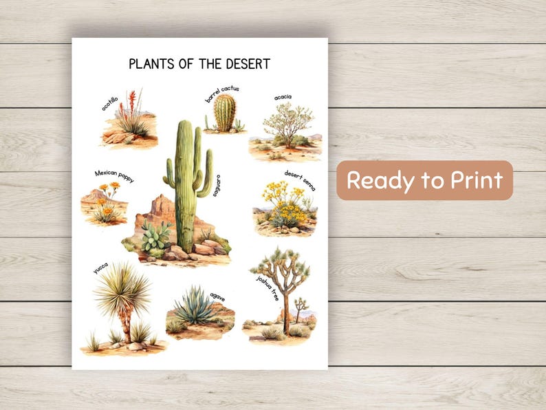 Desert Animals and Desert Plants Educational Poster Set, Homeschool ...