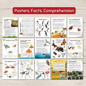 Unit Studies Bundle- Nature, Animals, Biomes, for Homeschool and ...