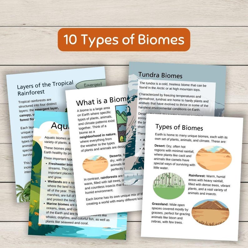 Biomes Unit Study Worksheets, Activities, With Geography and Climate ...