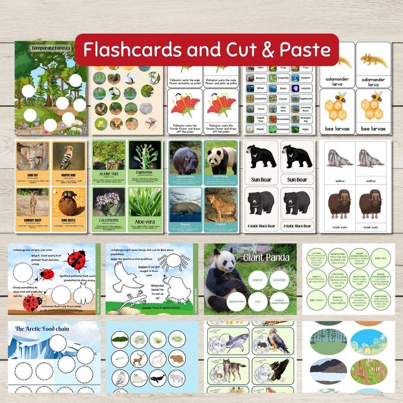 Unit Studies Bundle- Nature, Animals, Biomes, for Homeschool and ...