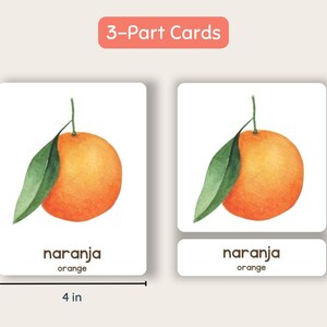 Bilingual Fruit Flashcards English and Spanish Montessori 3-part Cards ...