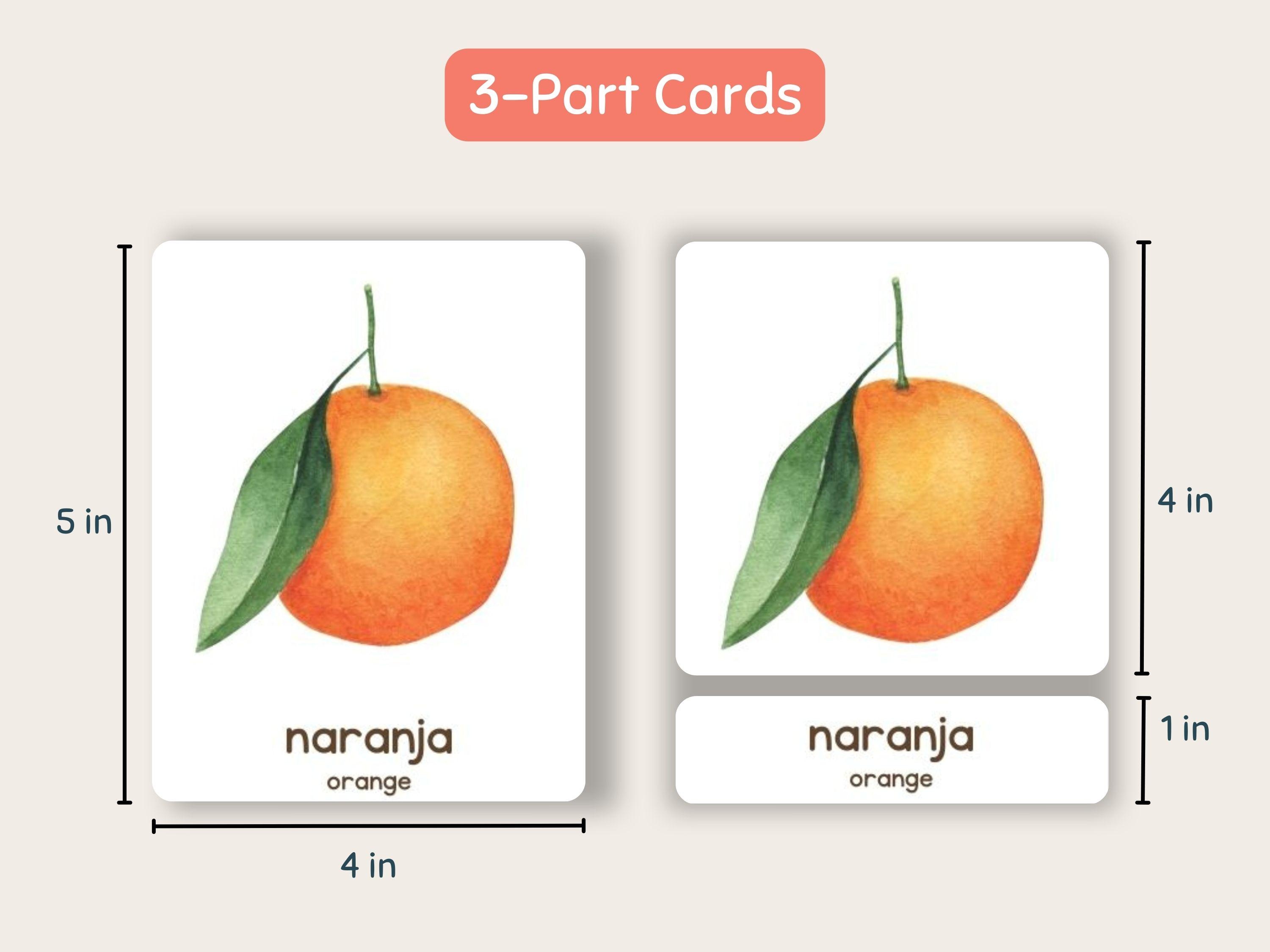 Bilingual Fruit Flashcards English and Spanish Montessori 3-part Cards ...