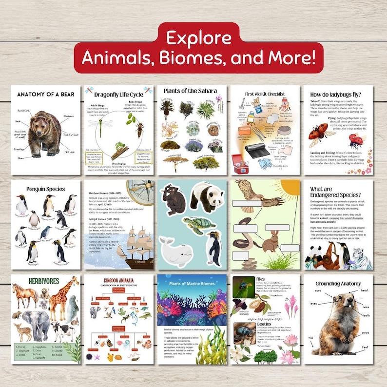 Unit Studies Bundle- Nature, Animals, Biomes, for Homeschool and ...
