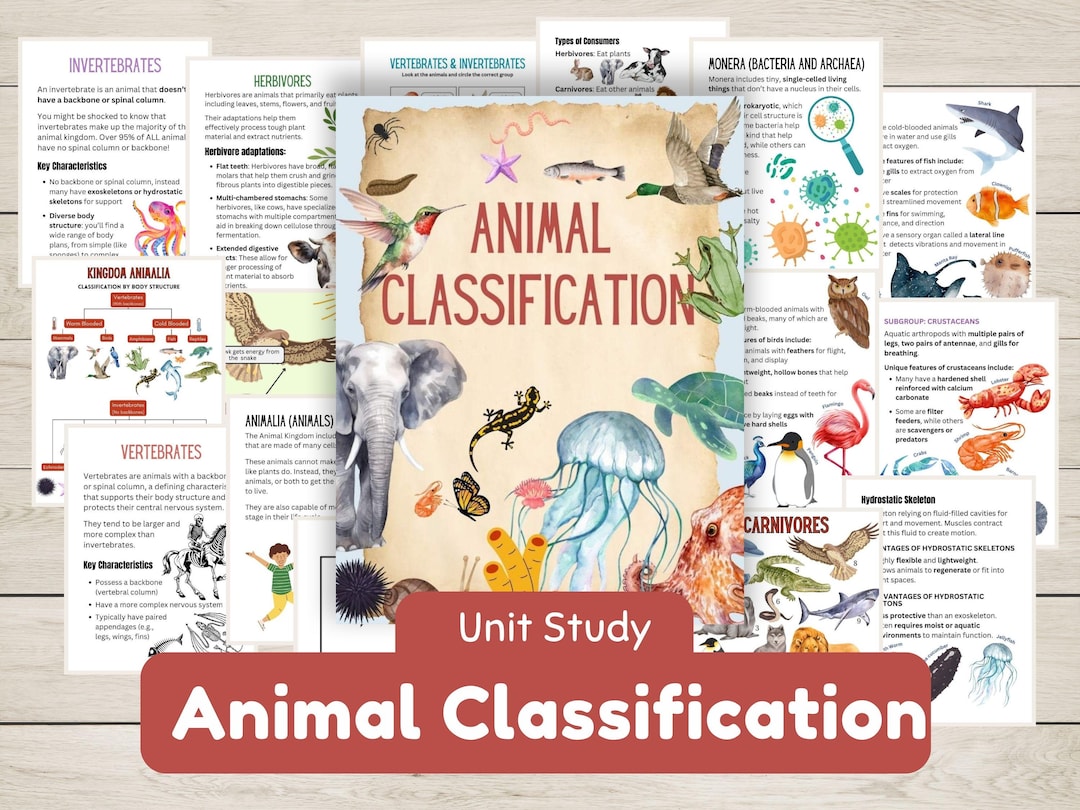 Animal Classification Unit Study Worksheets, Activities, With Classes ...