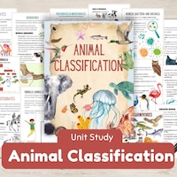 Animal Classification Sort - Etsy