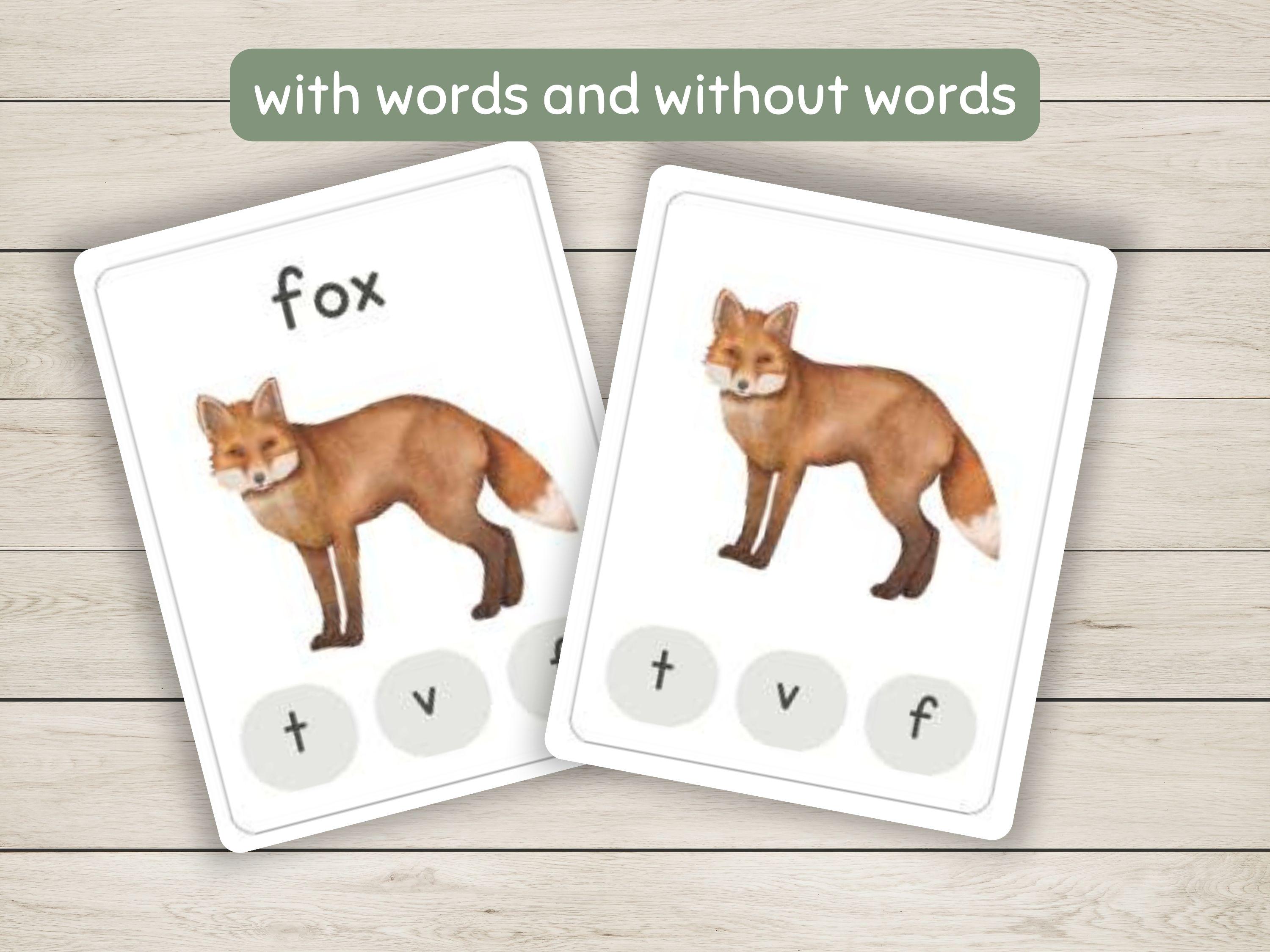 Alphabet Sounds Clip Cards Printable Watercolor Design Identify ...