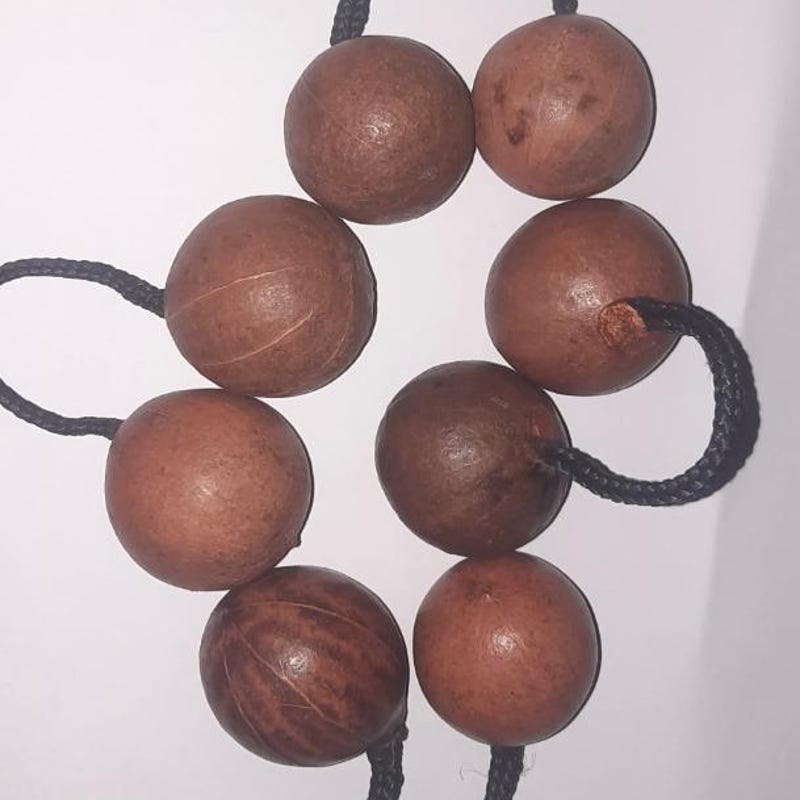 Kashaka Instrument - Etsy