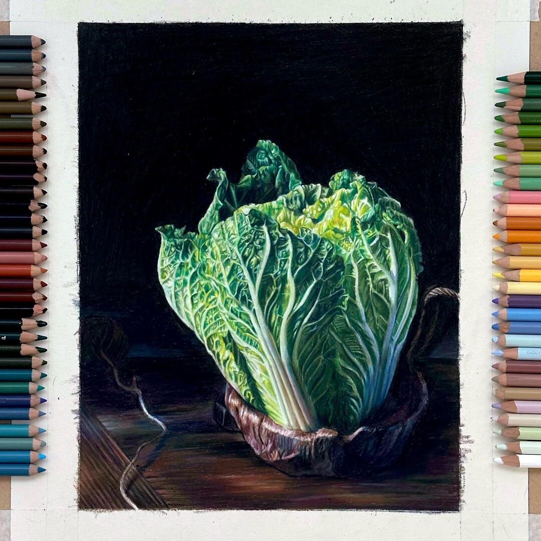 Cabbage Hyper-realistic Colored Pencil - Etsy