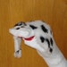 Dalmatian Sock Puppet Hand Made - Etsy