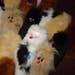25 Faux Fur Finger Puppets Made in USA Hand Made - Etsy