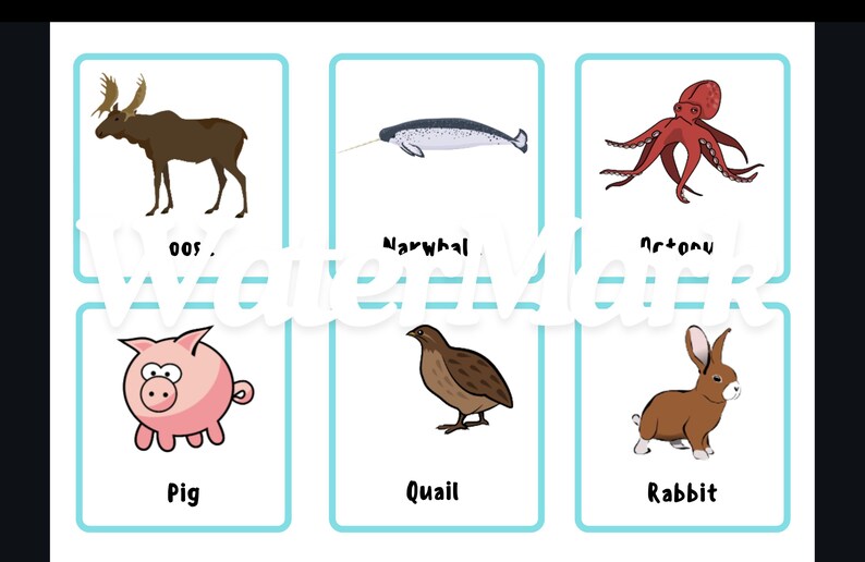 Animal Alphabet Flashcards - Etsy