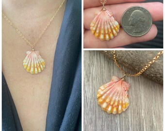 Sunrise Shell - Etsy