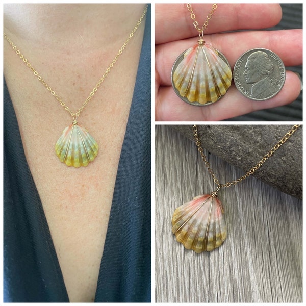 Sunrise Shell Necklace - Etsy