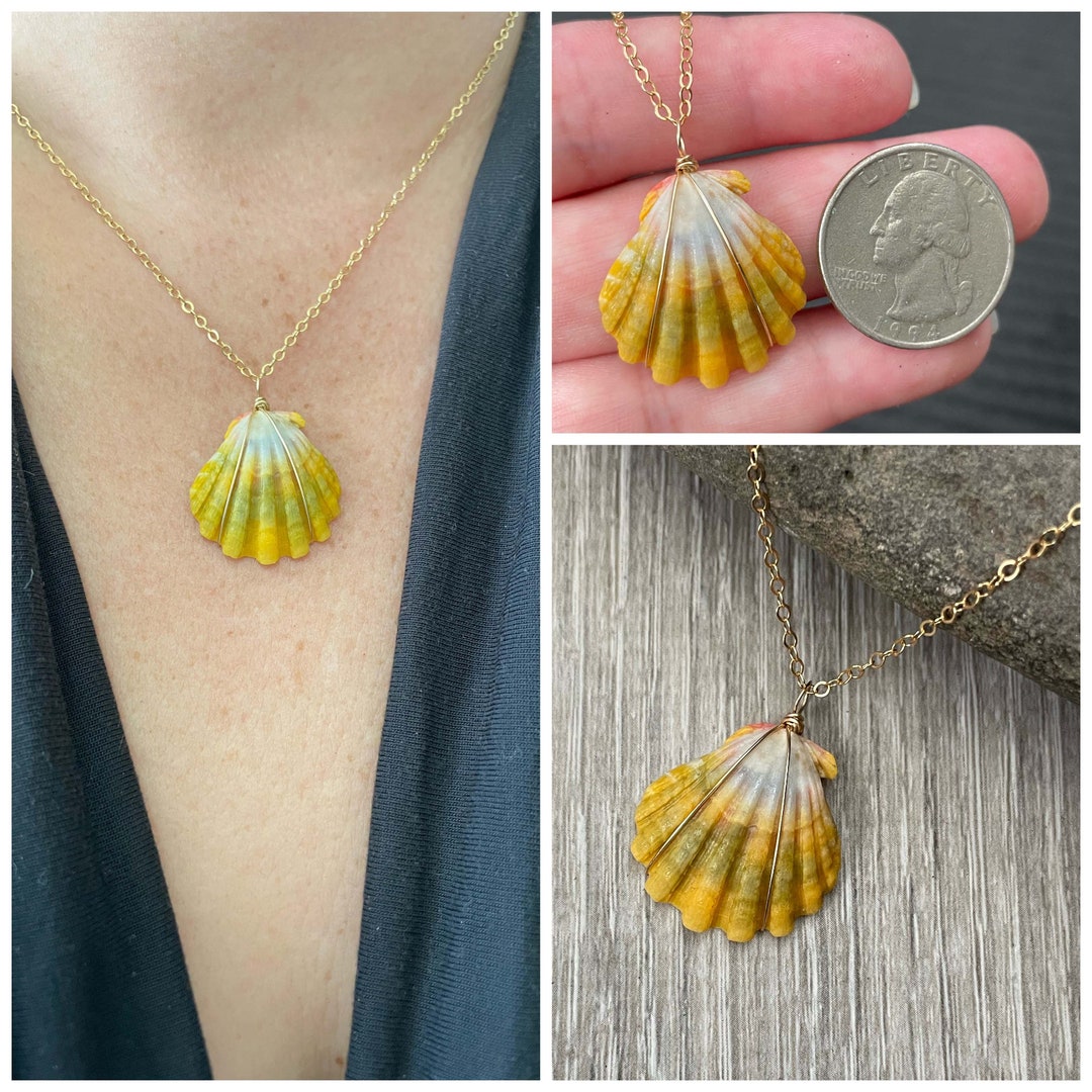 Sunrise Shell Necklace quarter Size, Hawaii Handmade Jewelry, Seashell ...