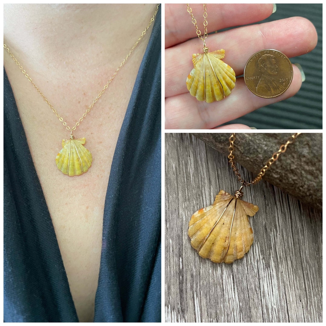 Sunrise Shell Necklace penny Size, Jewelry Made in Hawaii, Seashell ...