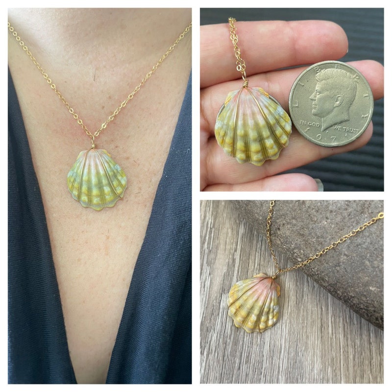 Shell Necklace - Etsy