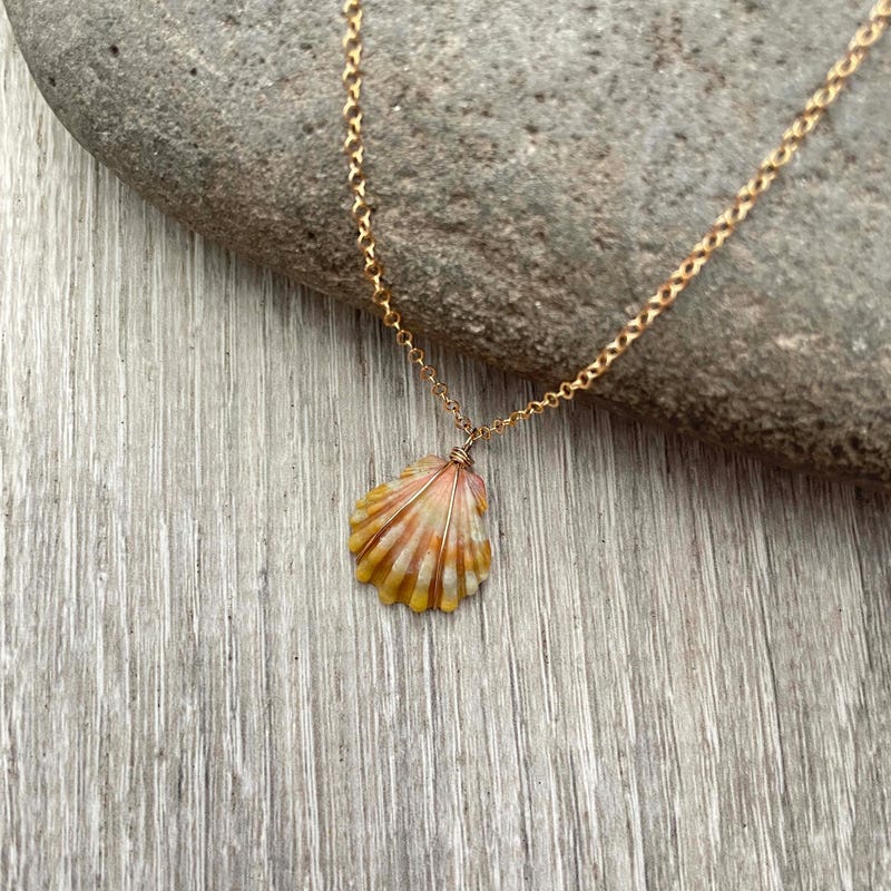 Sunrise Shell Necklace - Etsy