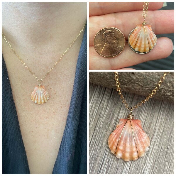 Shell Jewelry - Etsy