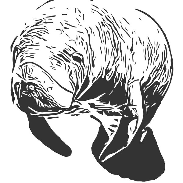 Manatee Svg - Etsy