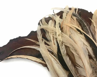 Extra long feathers | Etsy