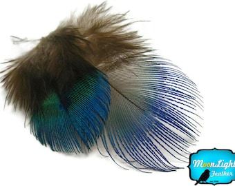 Blue feathers | Etsy